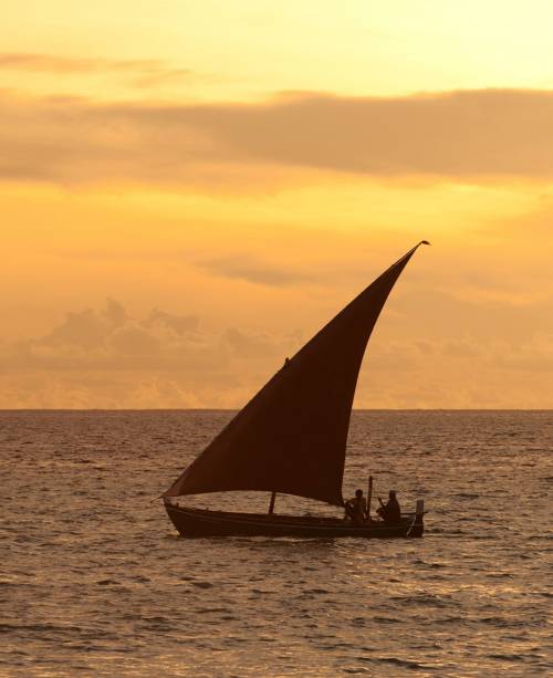 Home - MATI